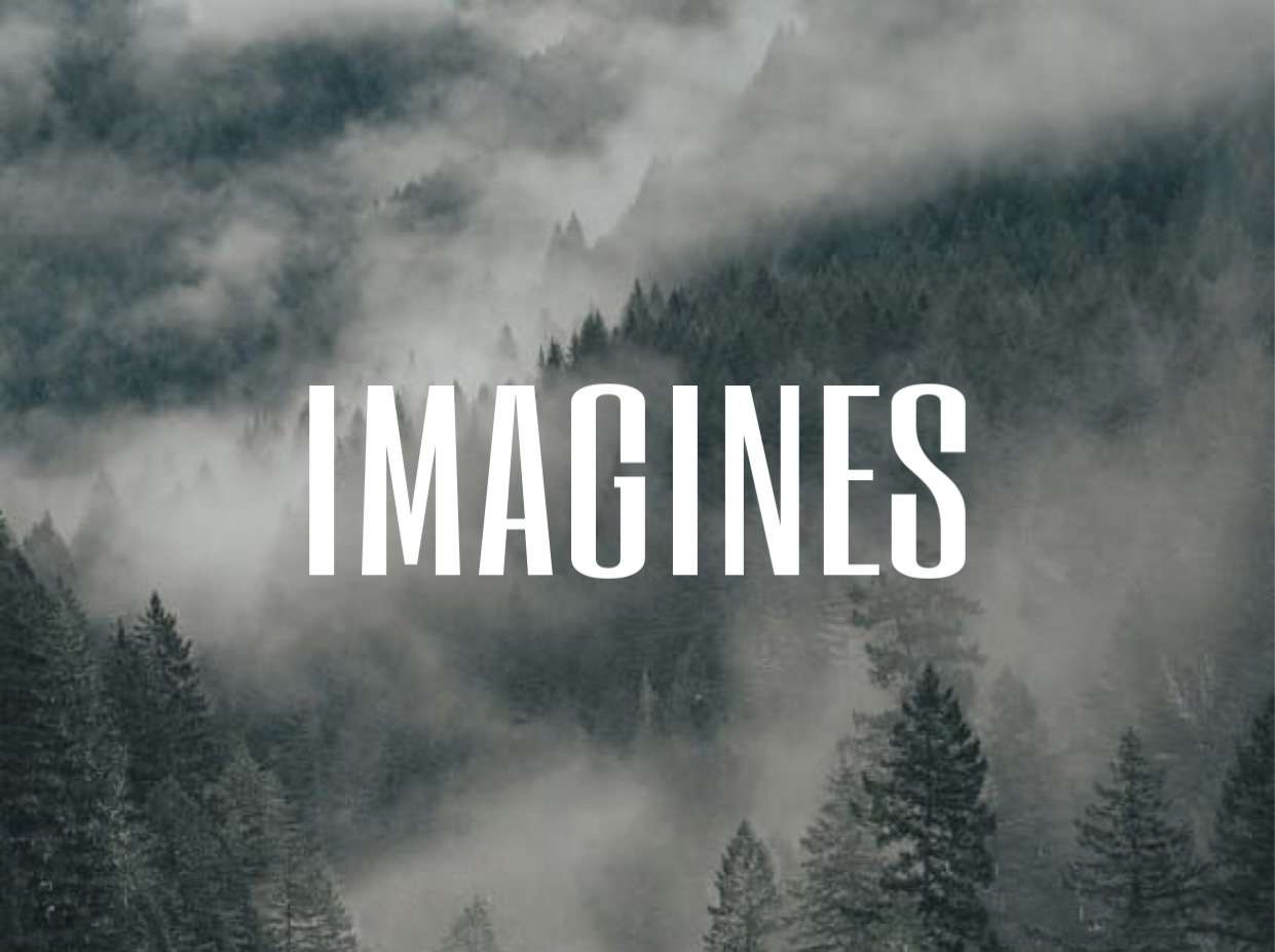 IMAGINES in Thrissur